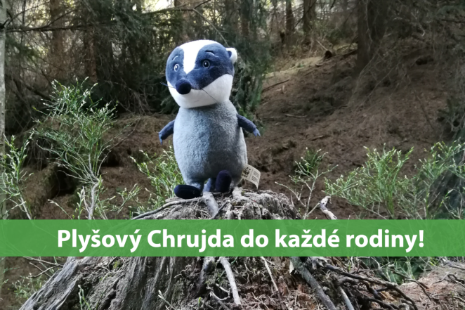 Jezevec Chrujda - Meander